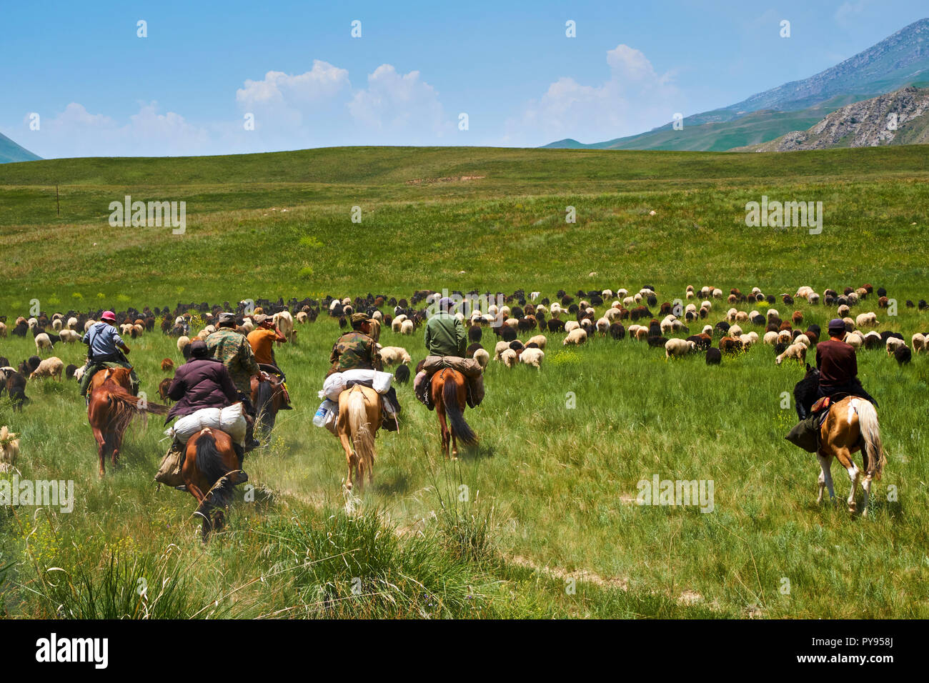 Kyrgyzstan, Naryn province, transhumance of Kirghiz nomadic people ...