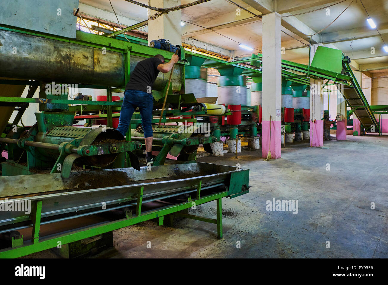Turkey, the Black Sea region, tea factory near Trabzon Stock Photo - Alamy