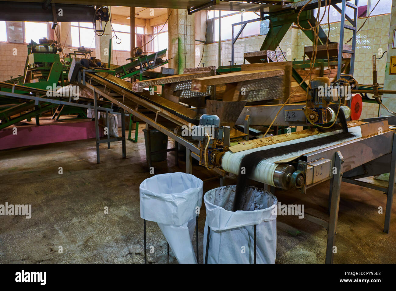 Turkey, the Black Sea region, tea factory near Trabzon Stock Photo - Alamy