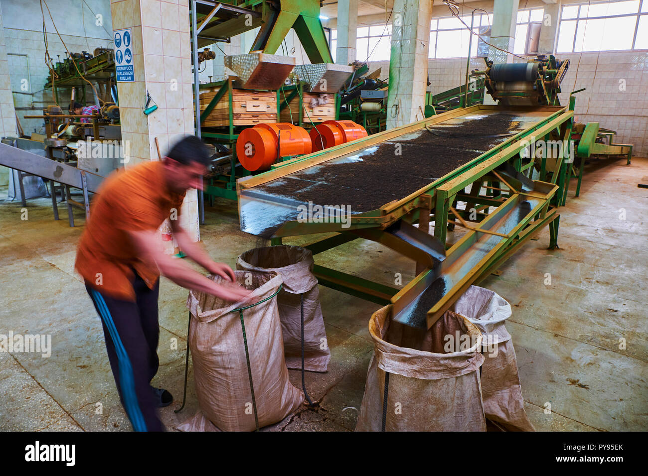 Turkey, the Black Sea region, tea factory near Trabzon Stock Photo - Alamy