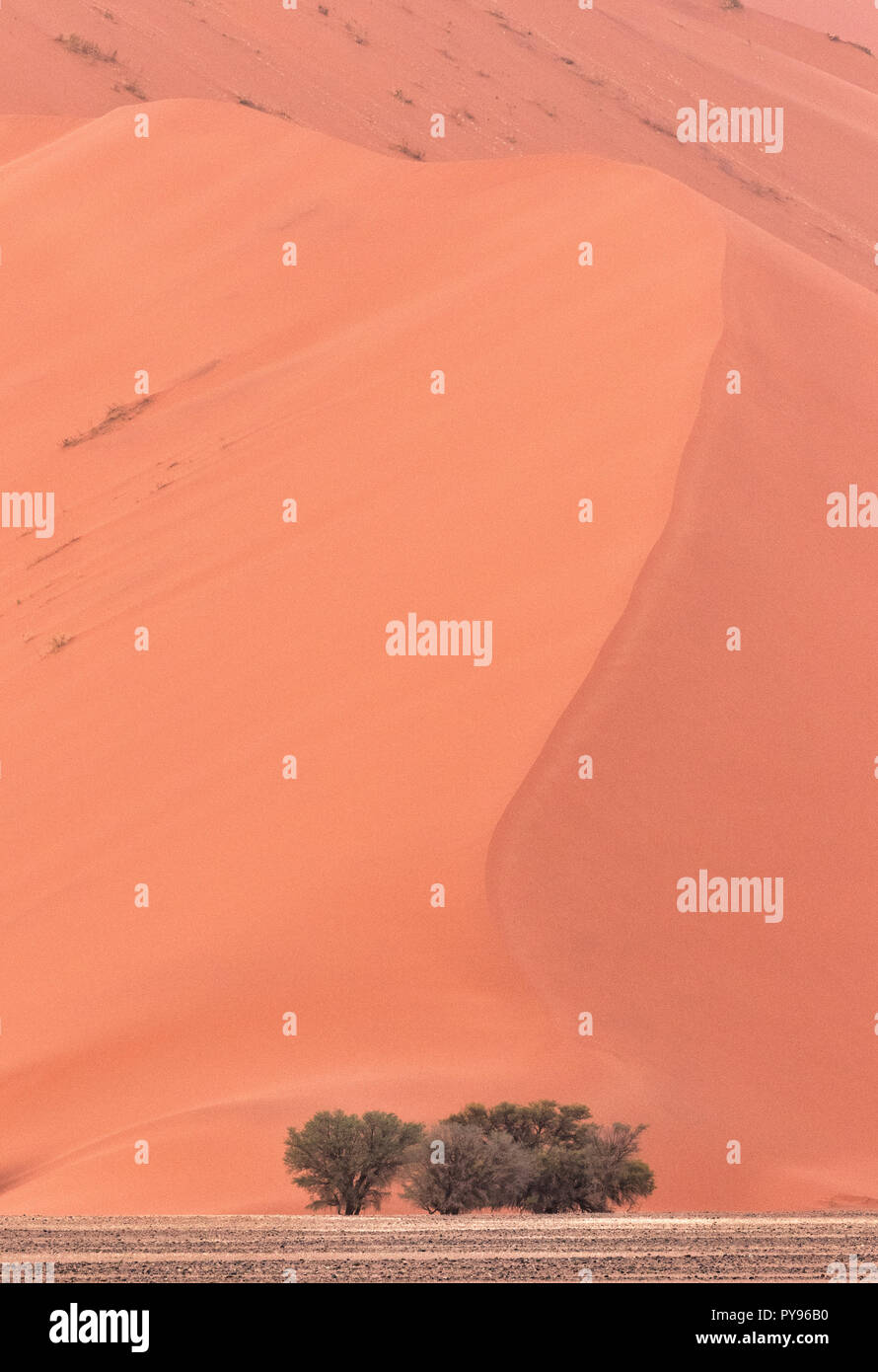 Namibia sand dunes in the Namib desert - Landscape at Sossusvlei ...