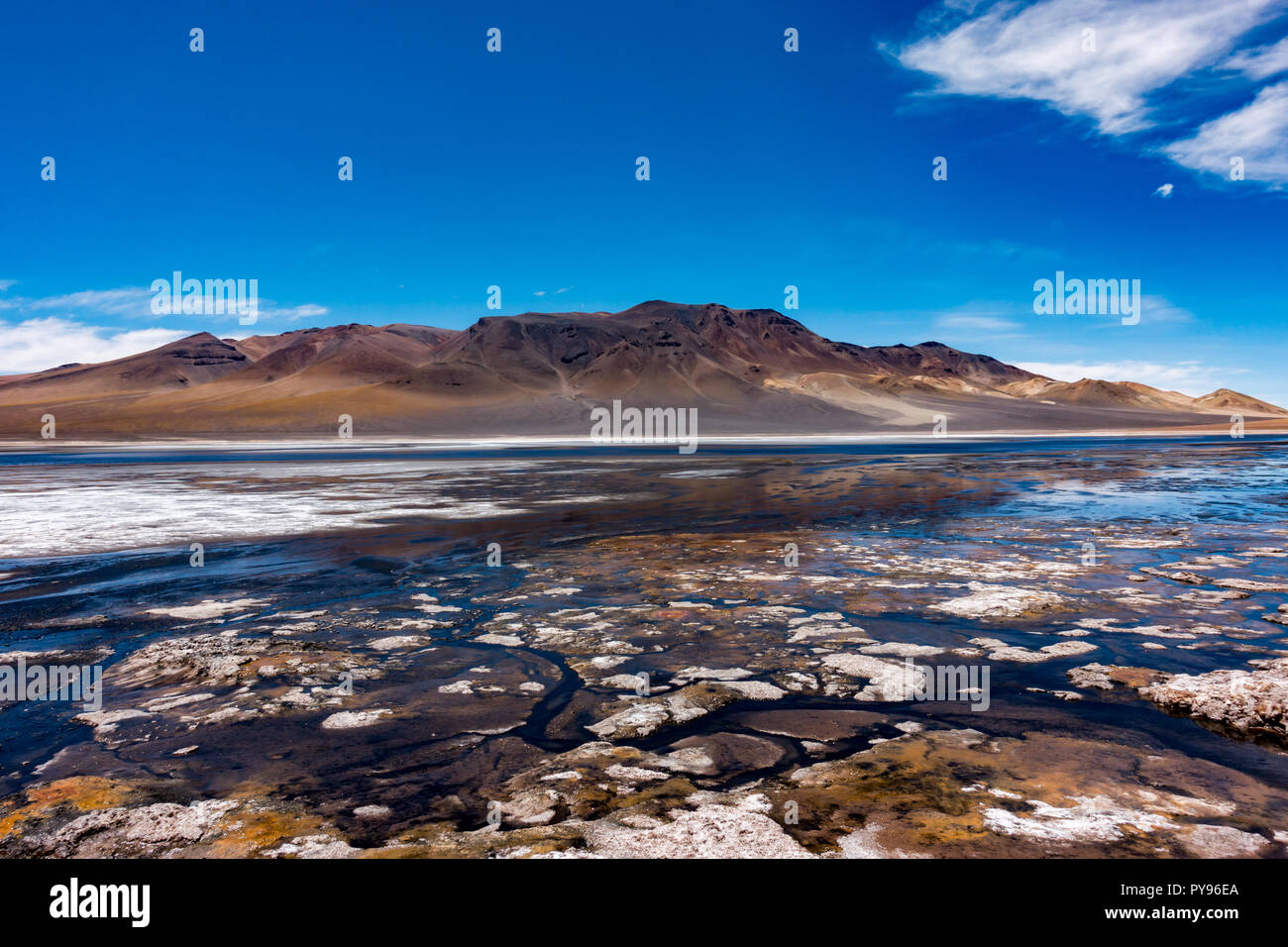 Laguna Negra is a stunning high Andean lake on the border where Chile ...