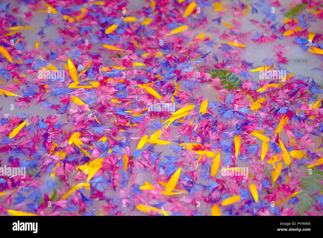 Pulp Art High Resolution Stock Photography and Images - Alamy