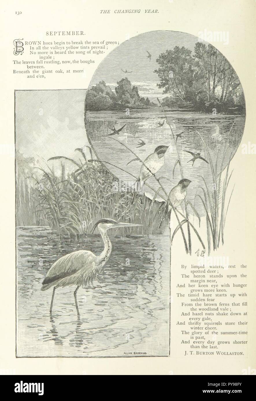 page 136 of 'The Changing Year being poems and pictures of life and ...