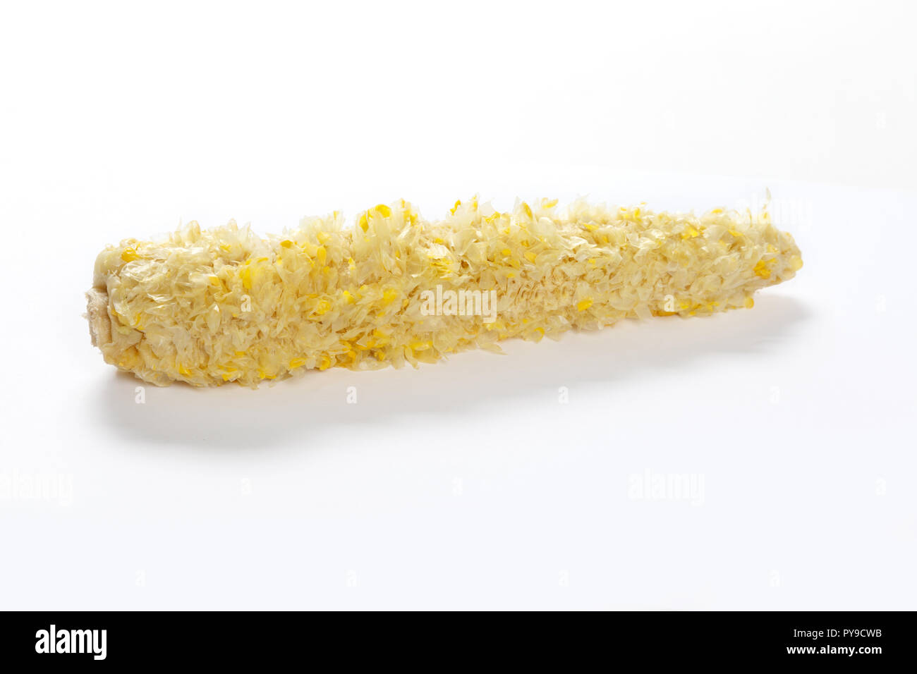 Empty corn cob hi-res stock photography and images - Alamy