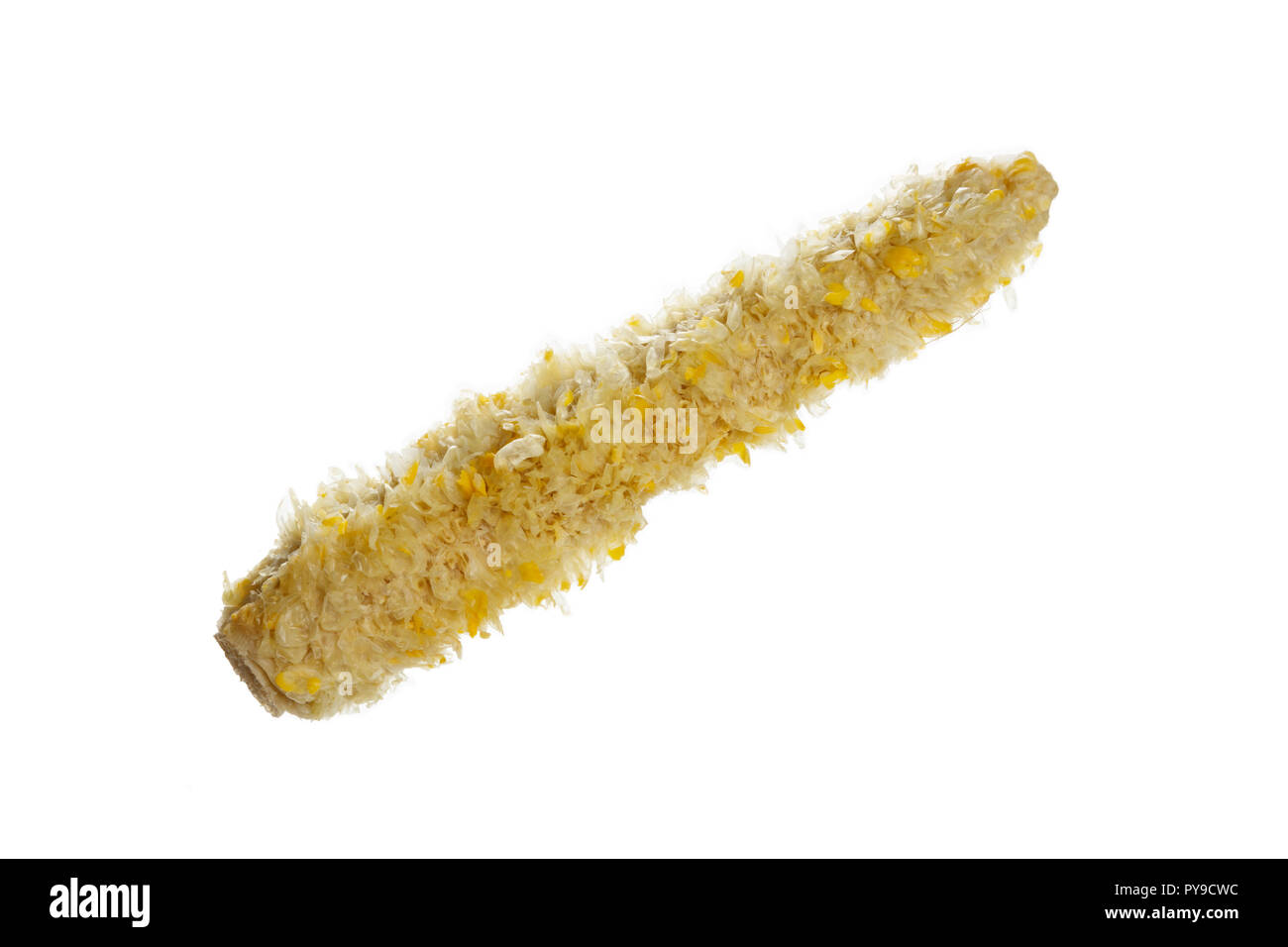 Corn cob bite hi-res stock photography and images - Alamy