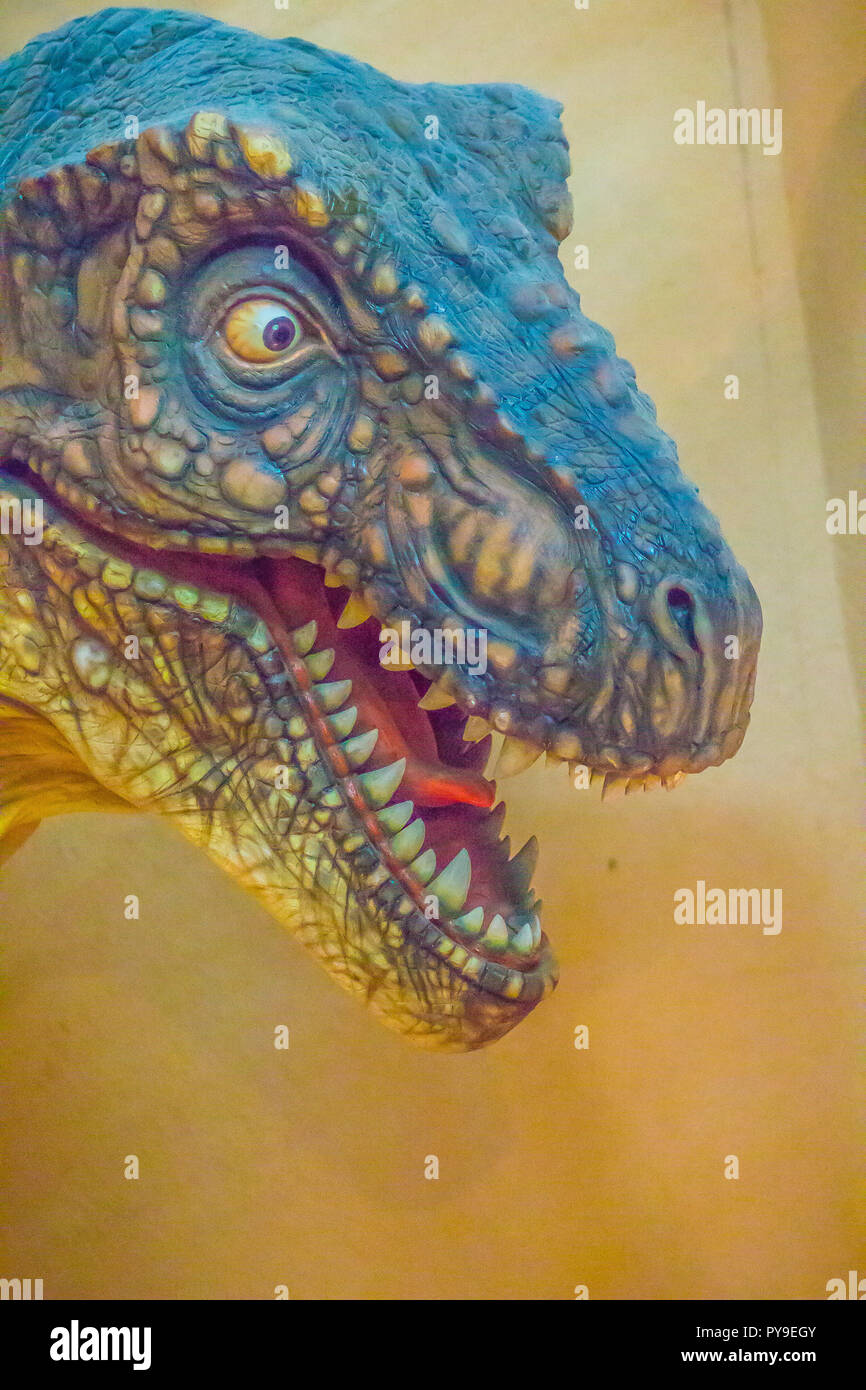Head shot model of Siamotyrannus isanensis, a genus of carnivorous ...