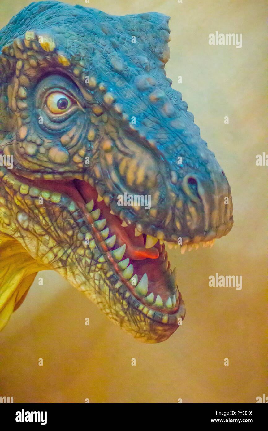 Head shot model of Siamotyrannus isanensis, a genus of carnivorous ...