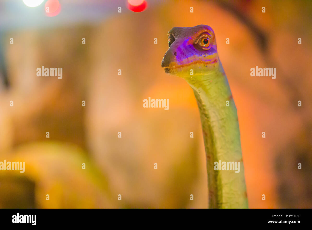 Cute model of Gallimimus dinosaur in the public museum. Gallimimus is a ...