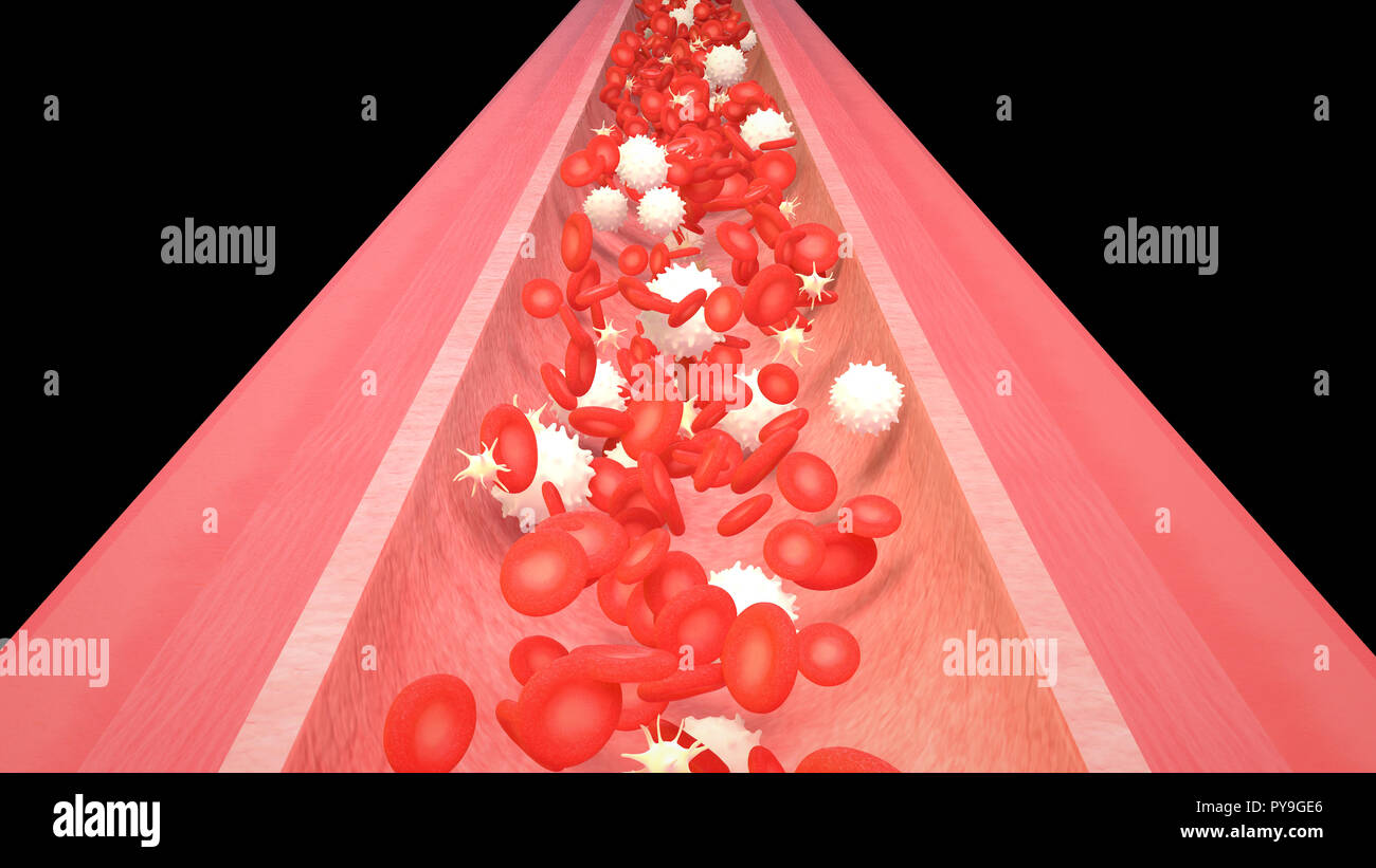 Platelets Red White High Resolution Stock Photography and Images - Alamy