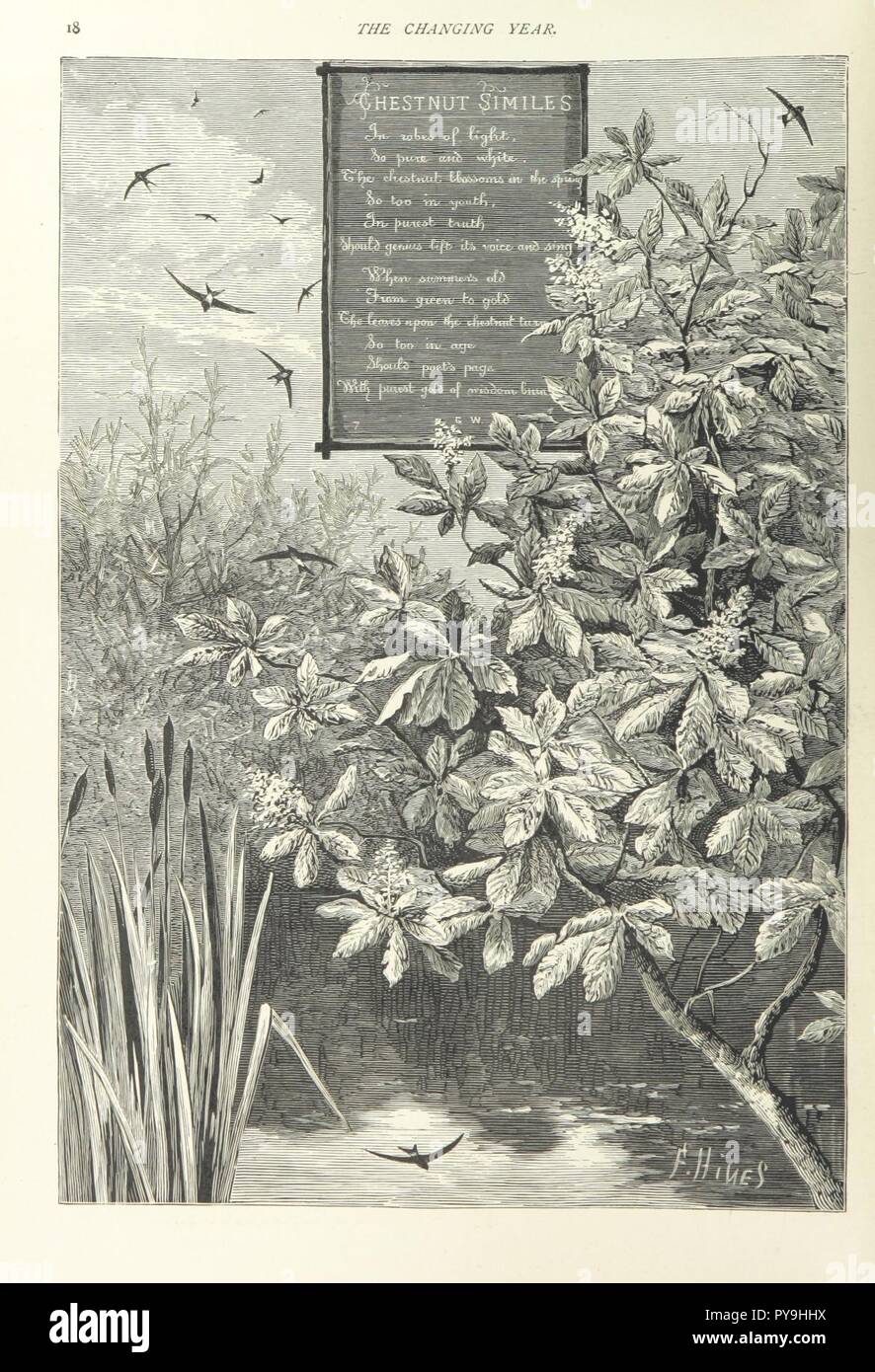 page 24 of 'The Changing Year being poems and pictures of life and ...