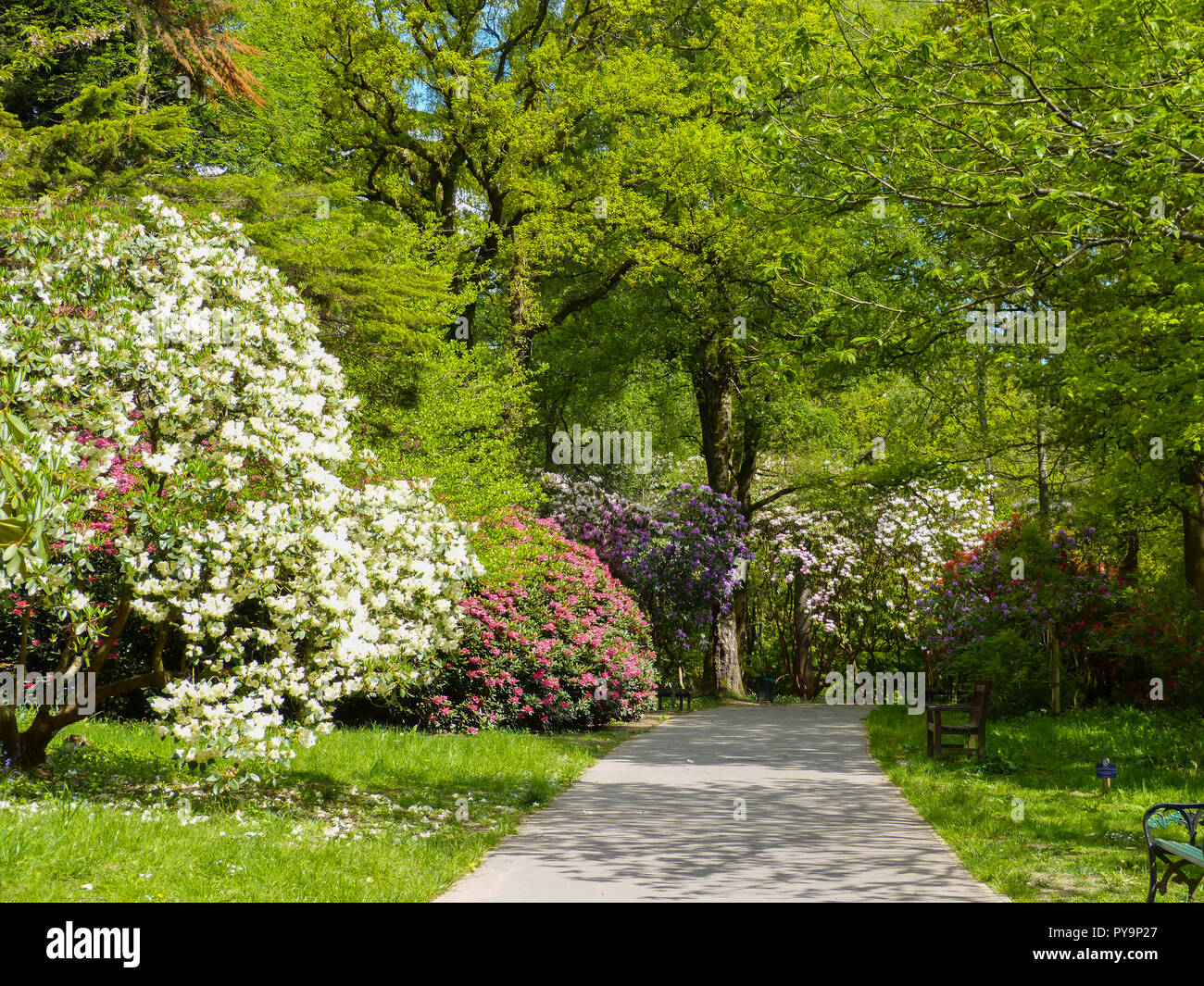 Parc cefn onn country park hi-res stock photography and images - Alamy