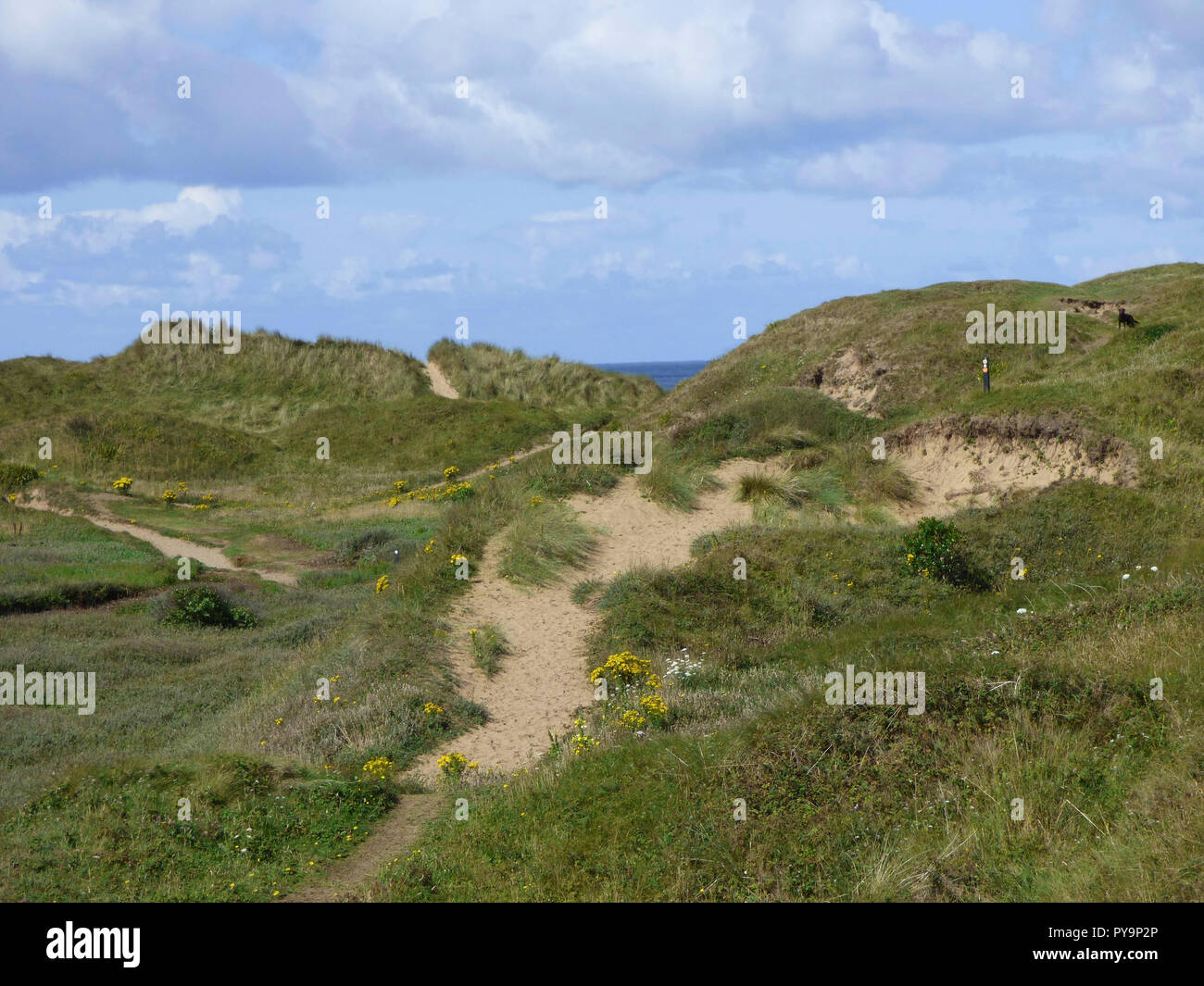 Kenfig dunes nature reserve hi-res stock photography and images - Alamy