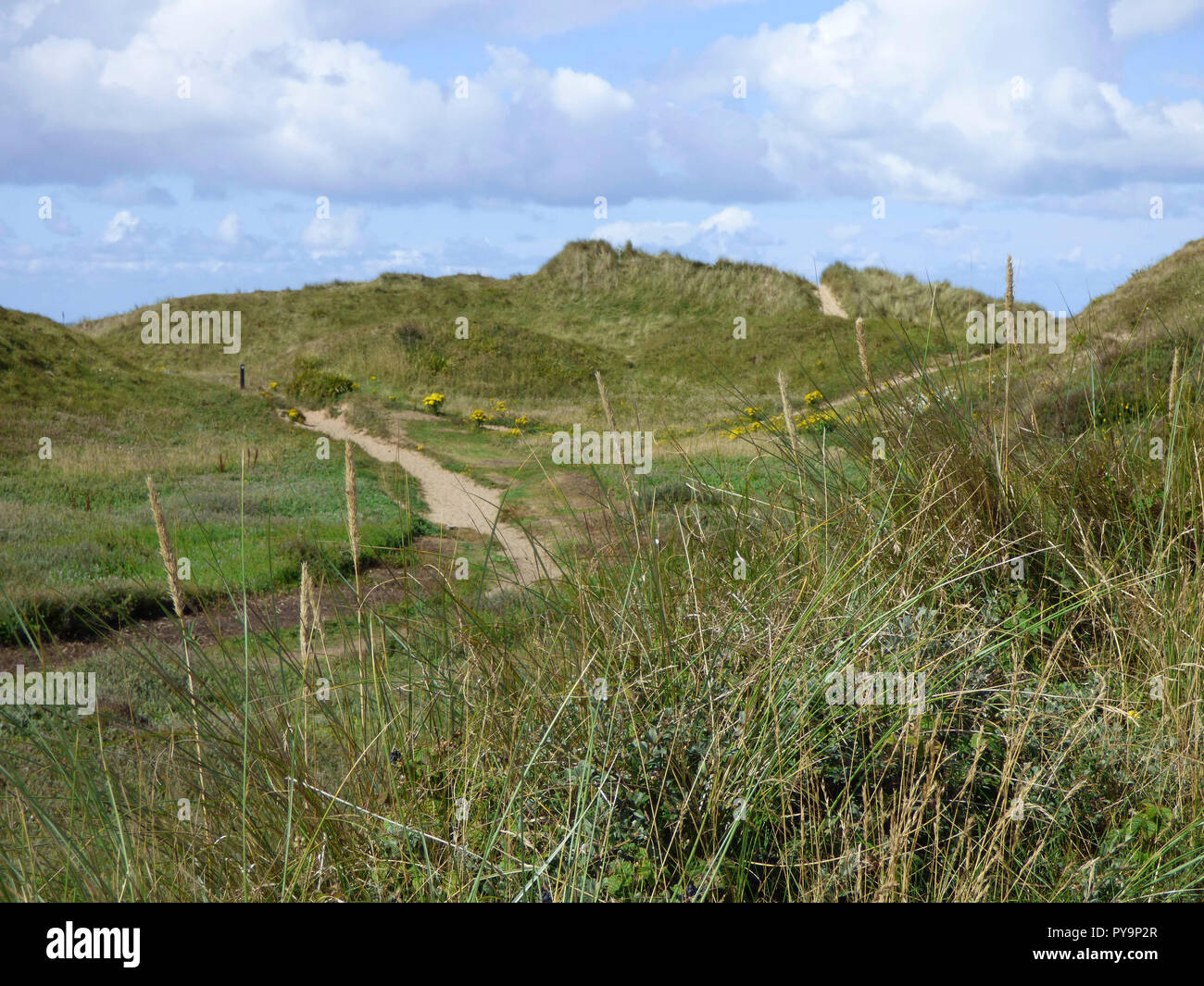 Kenfig Dunes nature reserve, near Porthcawl, South Wales, UK Stock ...
