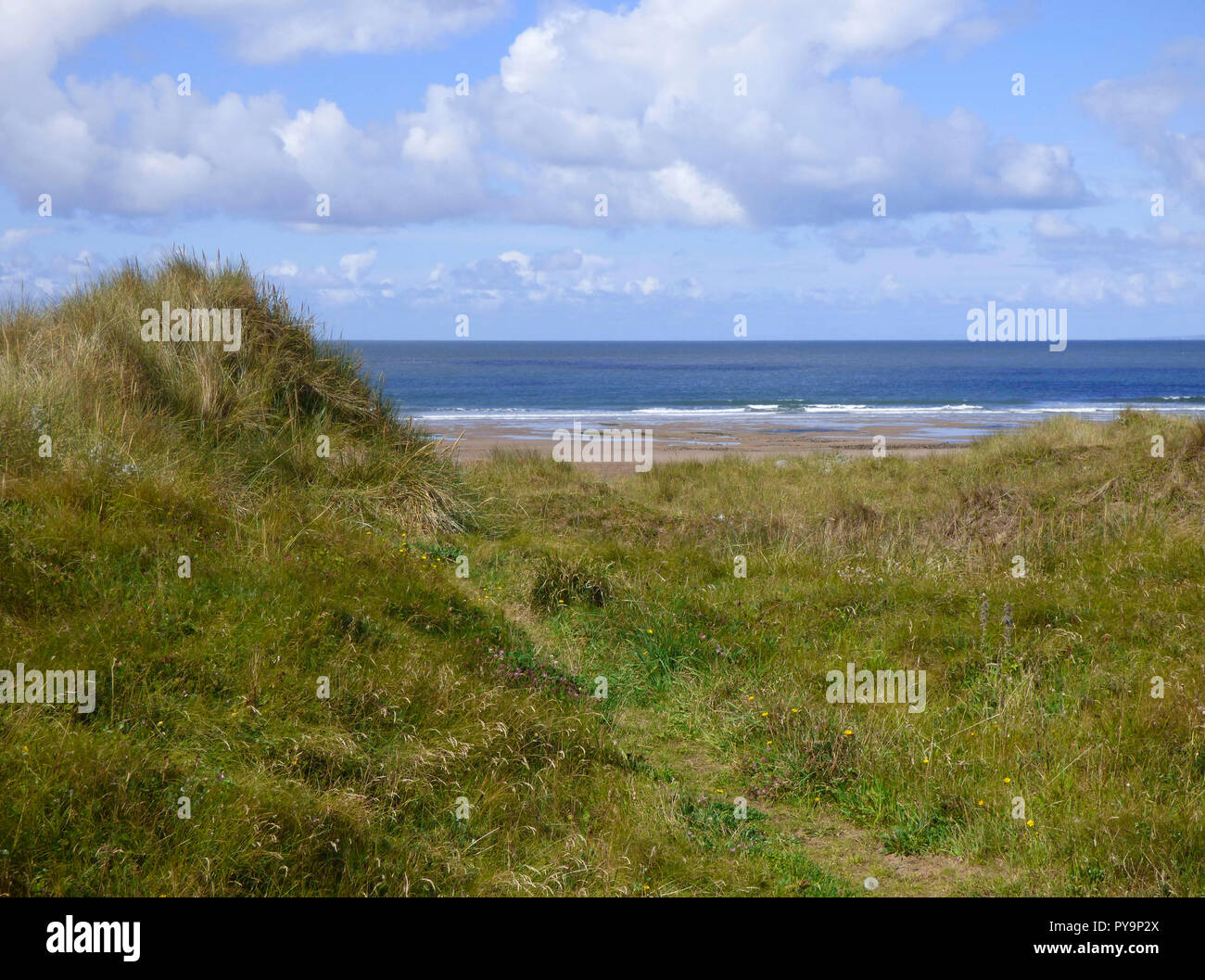 Kenfig dunes nature reserve hi-res stock photography and images - Alamy