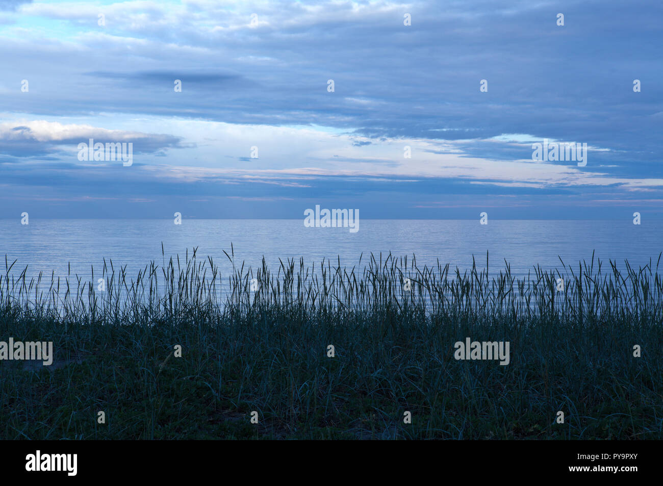 Calm evening by the sea. Reed this side. Clouds and horizon in the distance Stock Photo - Alamy
