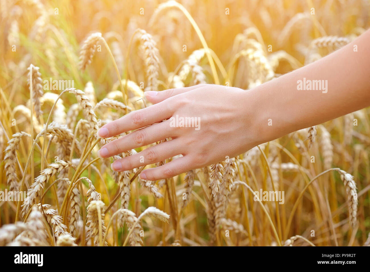 Hand passing hi-res stock photography and images - Alamy