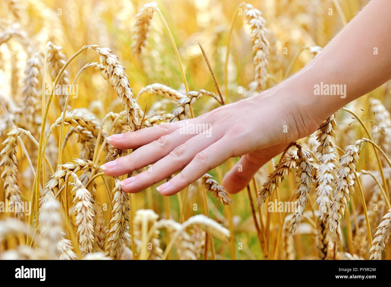 Hand Passing High Resolution Stock Photography and Images - Alamy