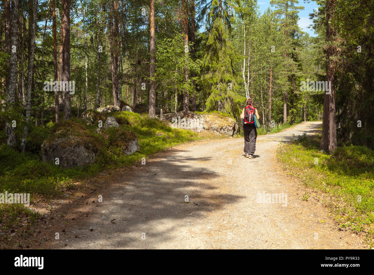 MEDELPAD, SWEDEN ON JULY 06, 2018. View of a backpacker along a trail ...
