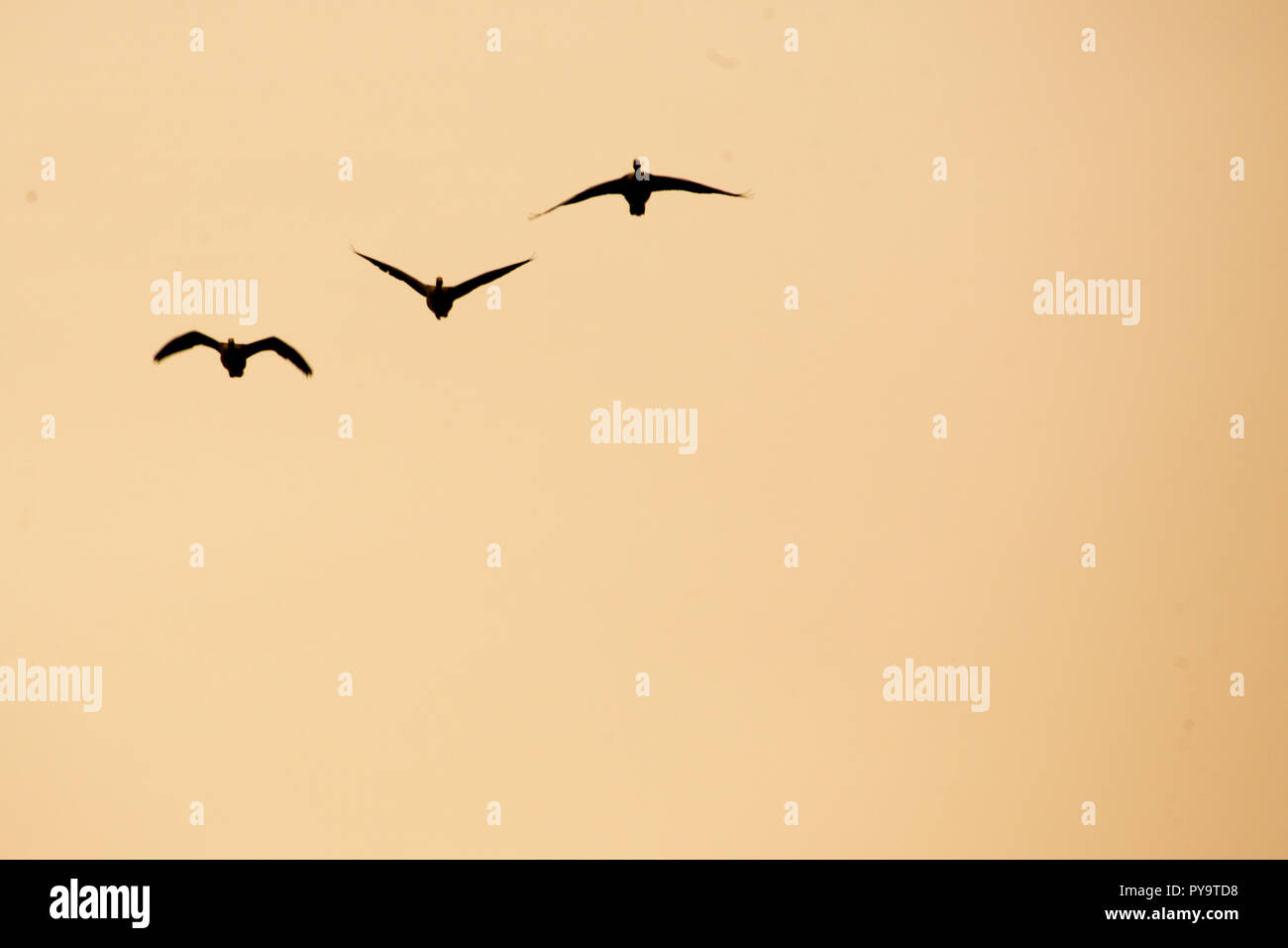 Open edit hi-res stock photography and images - Alamy