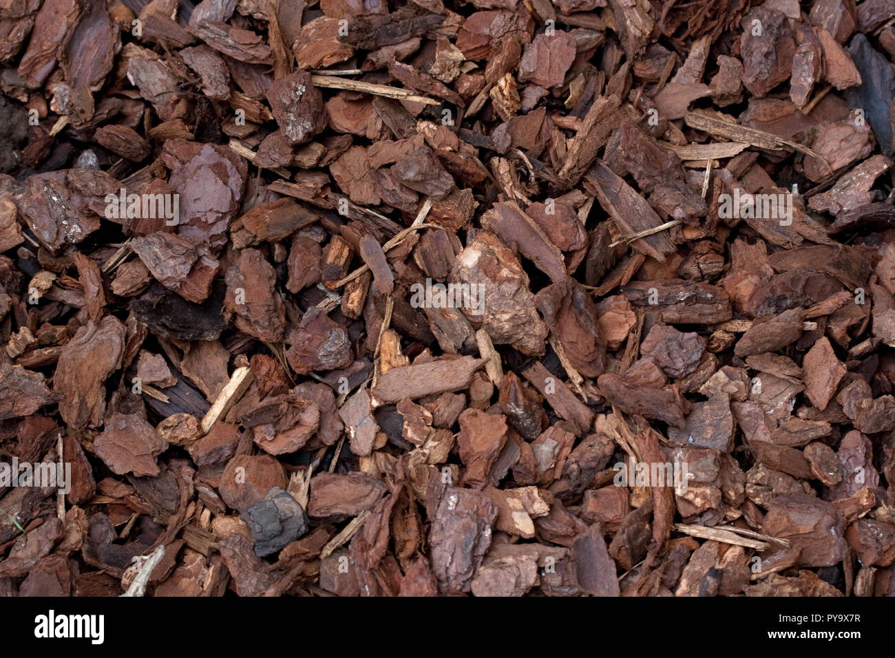 Background of shredded bark mulch Stock Photo - Alamy