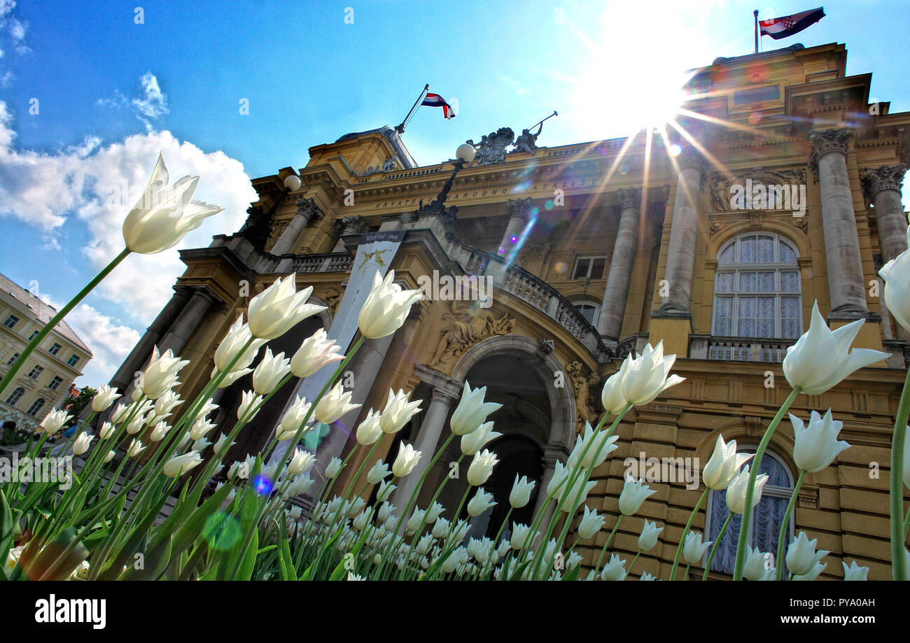 Hnk design hi-res stock photography and images - Alamy