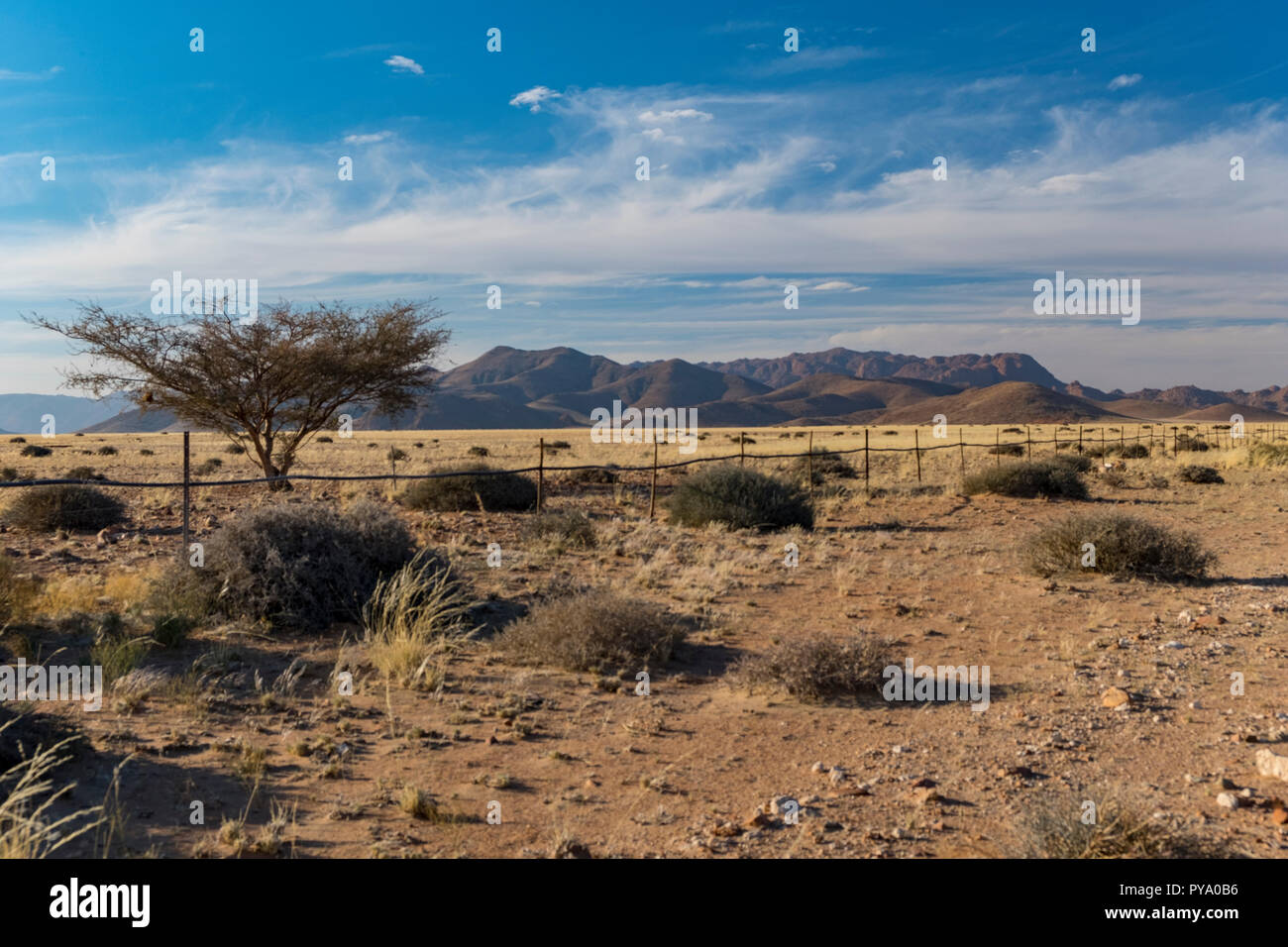 Wilderness in Namibia Stock Photo - Alamy
