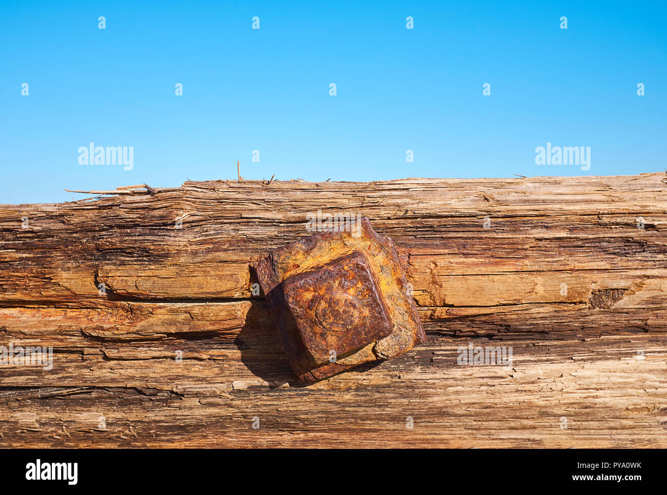 An old rusting square bolt head in a piece of old decaying wood with a ...