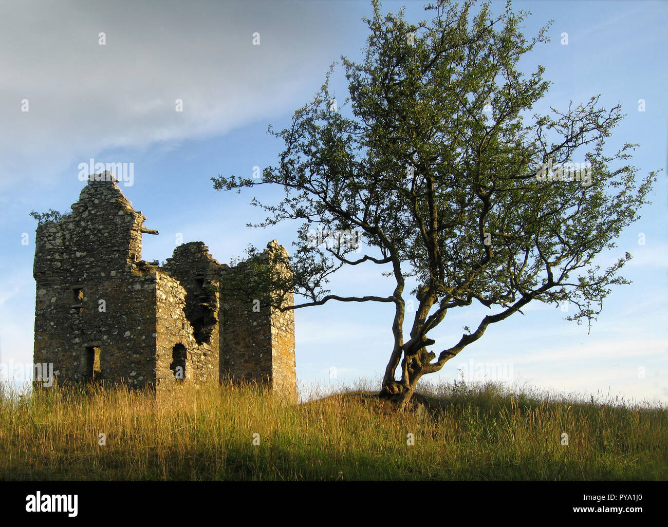 Scotland castle gun loops hi-res stock photography and images - Alamy