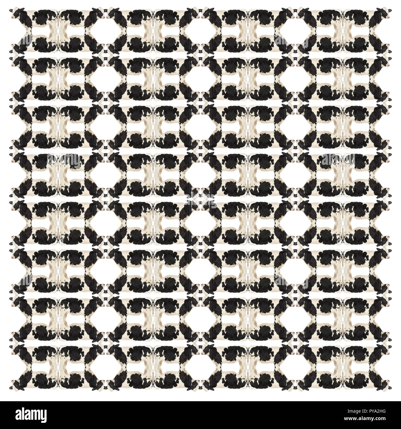 Livestock collage hi-res stock photography and images - Alamy