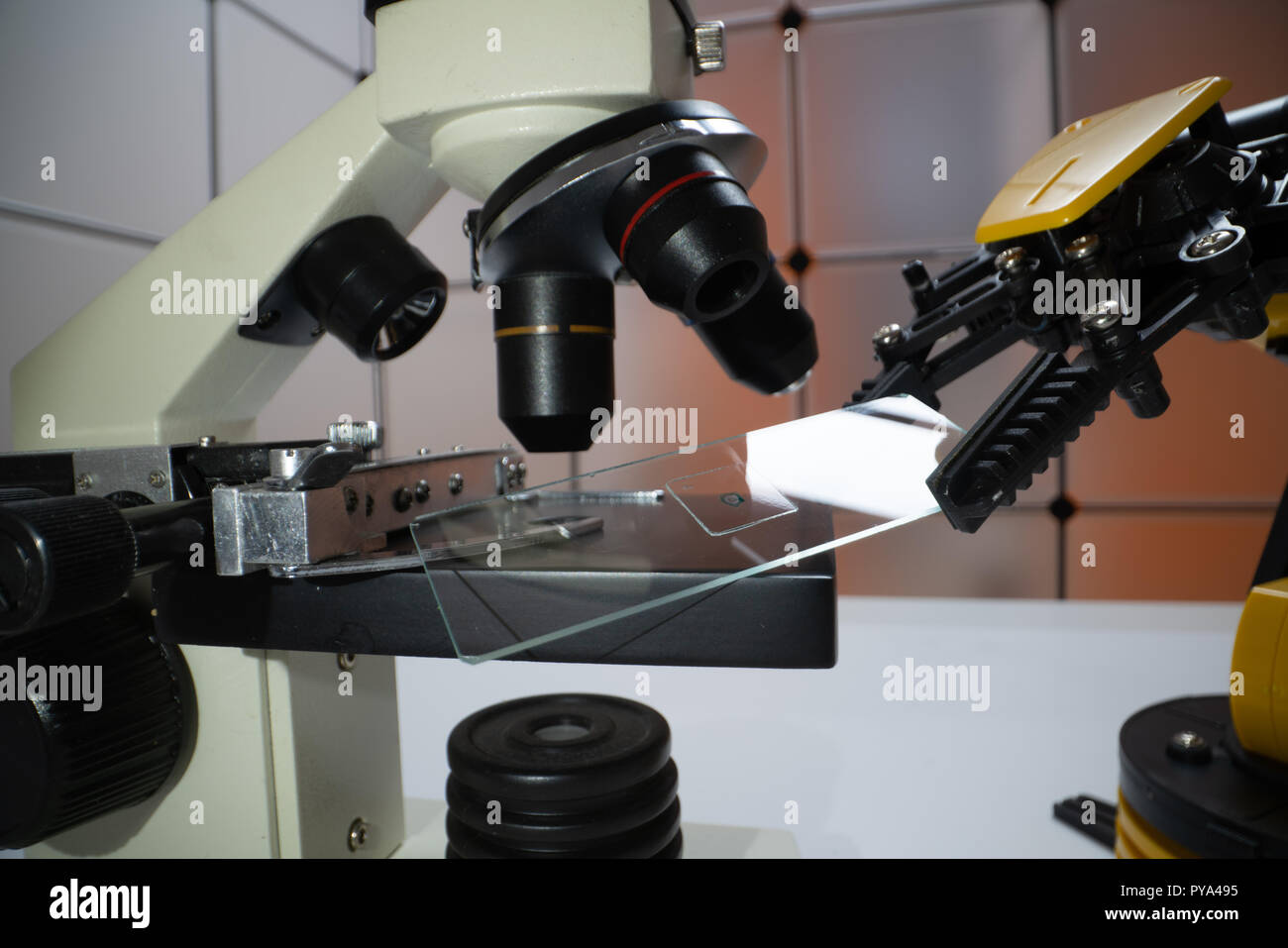 Microscope slide in robot arm and science microscope Stock Photo - Alamy