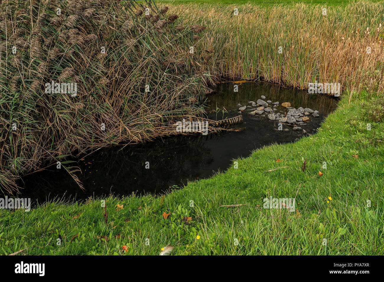 Polluted sewerage drainage hi-res stock photography and images - Alamy