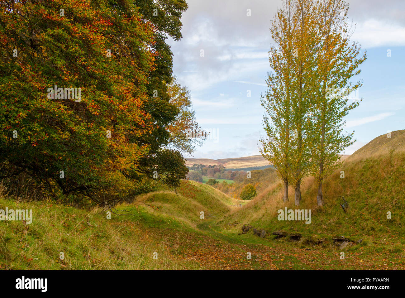 Quarry weardale hi-res stock photography and images - Alamy