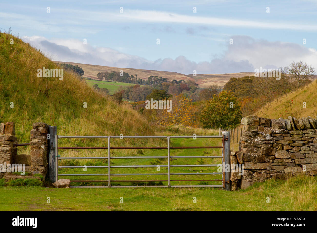 Autumn view in english hi-res stock photography and images - Alamy