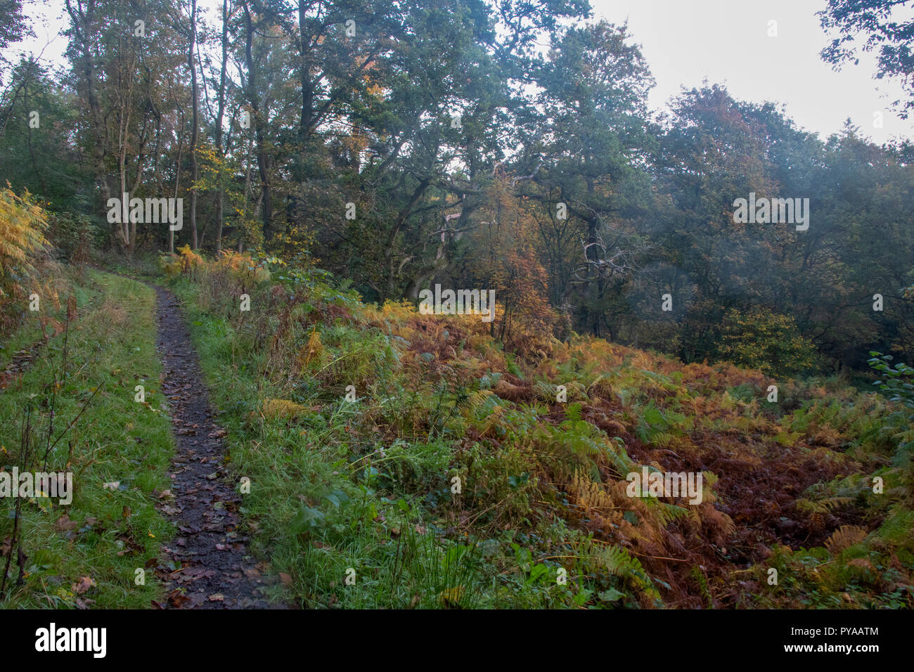 Sacriston hi-res stock photography and images - Alamy