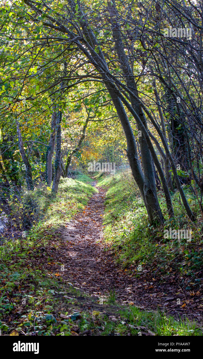 River wear, stanhope hi-res stock photography and images - Alamy