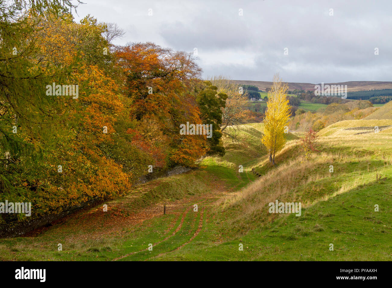 Ashes quarry hi-res stock photography and images - Alamy