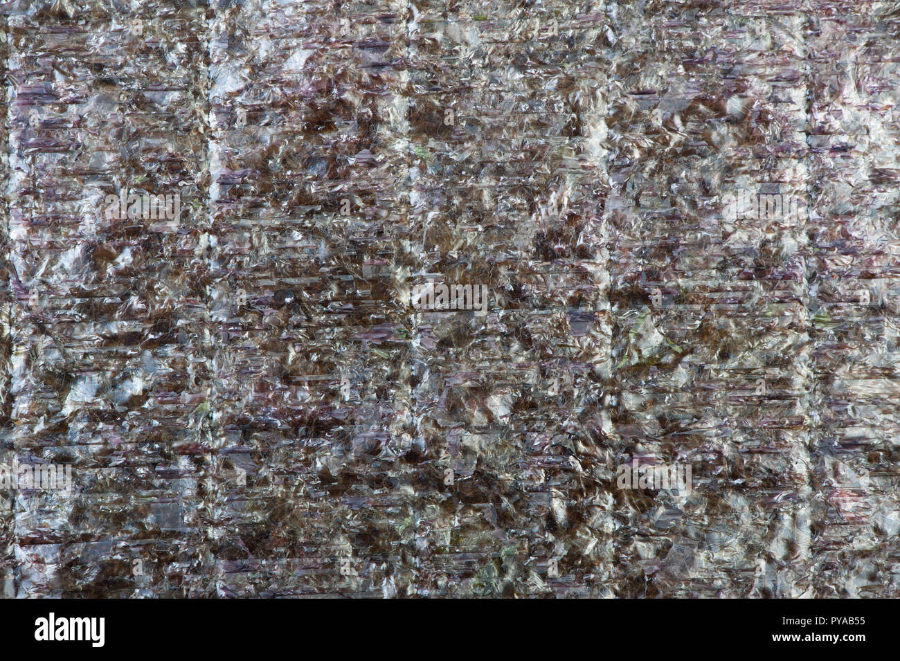 Texture of dry algae for background Stock Photo - Alamy