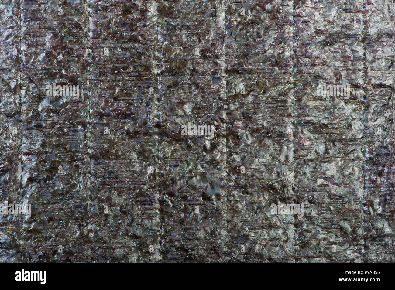Texture of dry algae for background Stock Photo - Alamy