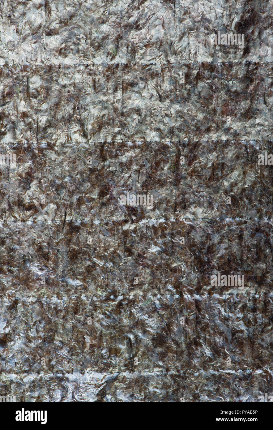 Texture of dry algae for background Stock Photo - Alamy