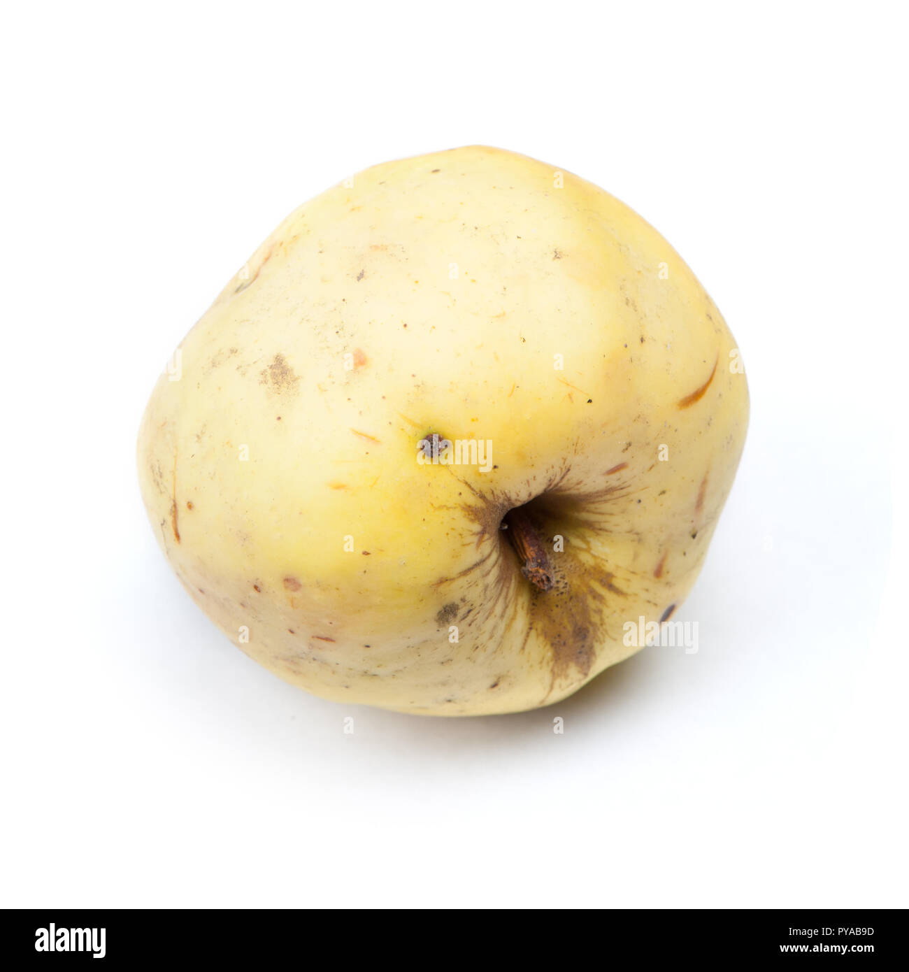 Old rotten apple on white isolated background, unhealthy to eat Stock ...