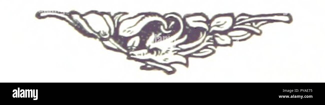 page 46 of 'The Establishment of Spanish Rule in America; an ...