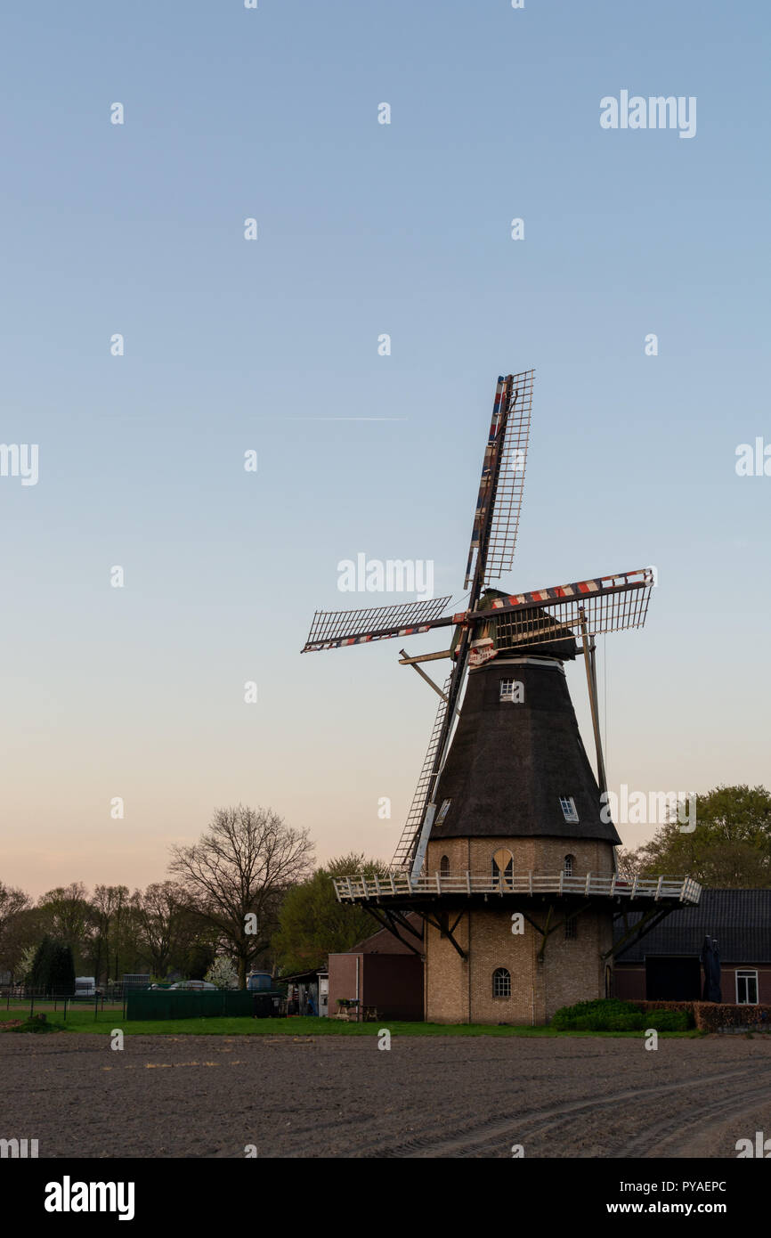 Landscape with traditional Dutch grain wind mill and blue sky on sunset ...