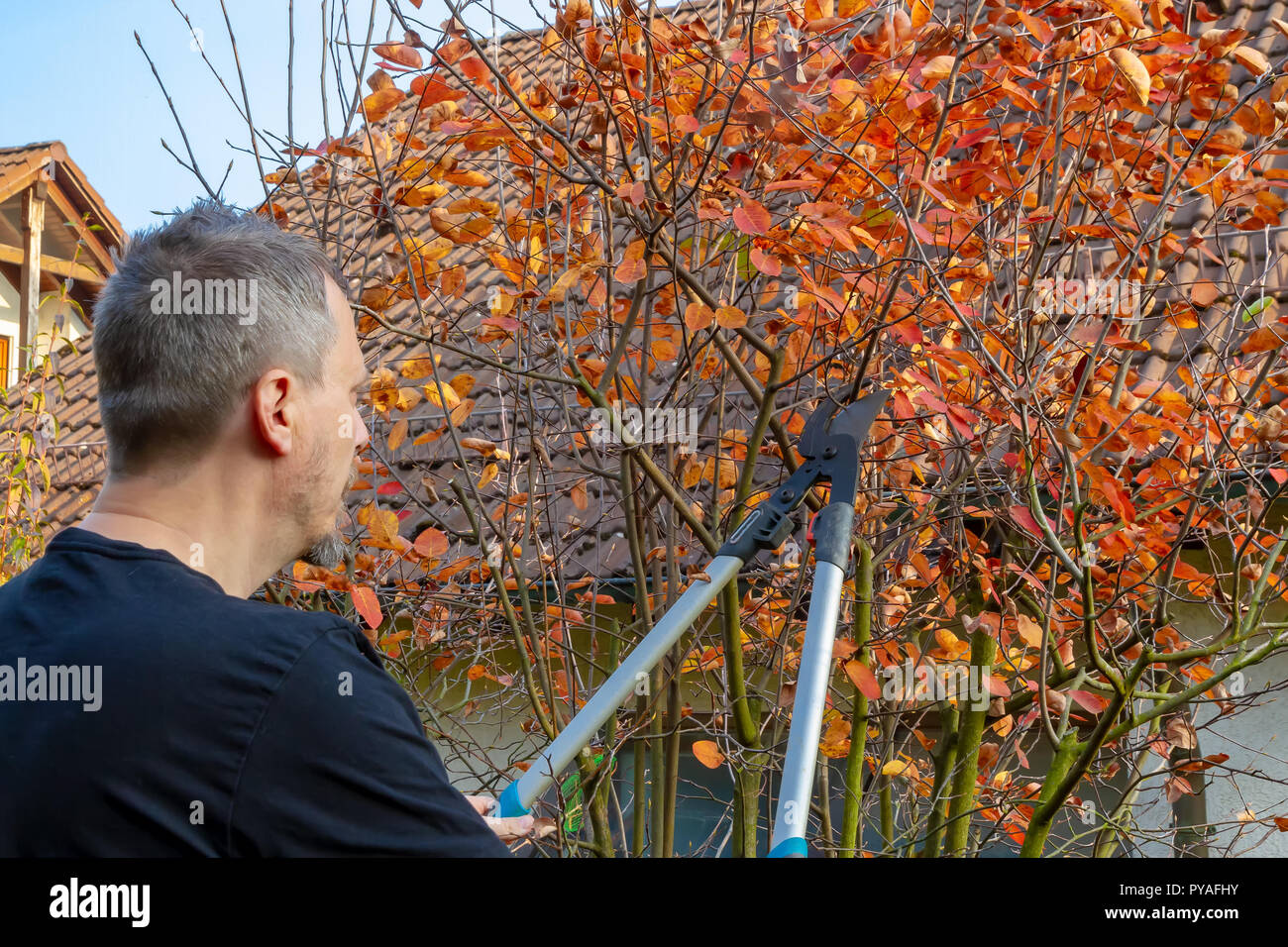 Occupation autumn hi-res stock photography and images - Alamy