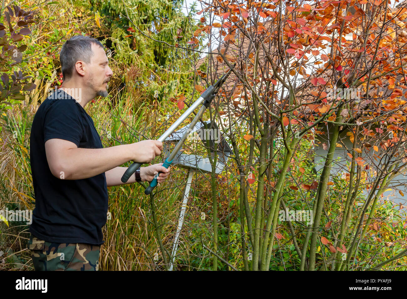 Gardening hobbies hi-res stock photography and images - Alamy