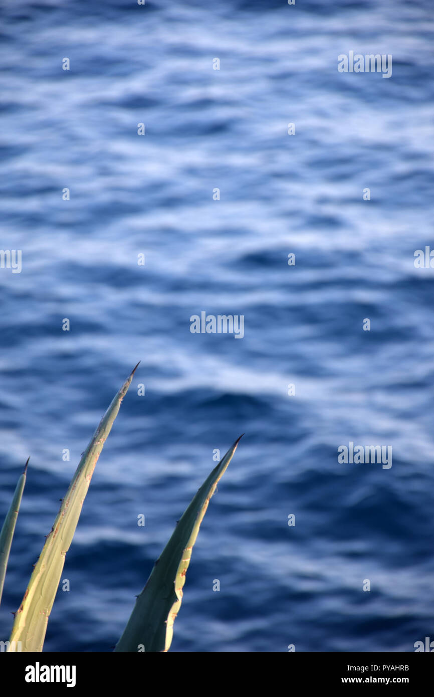 Sea texture hi-res stock photography and images - Alamy