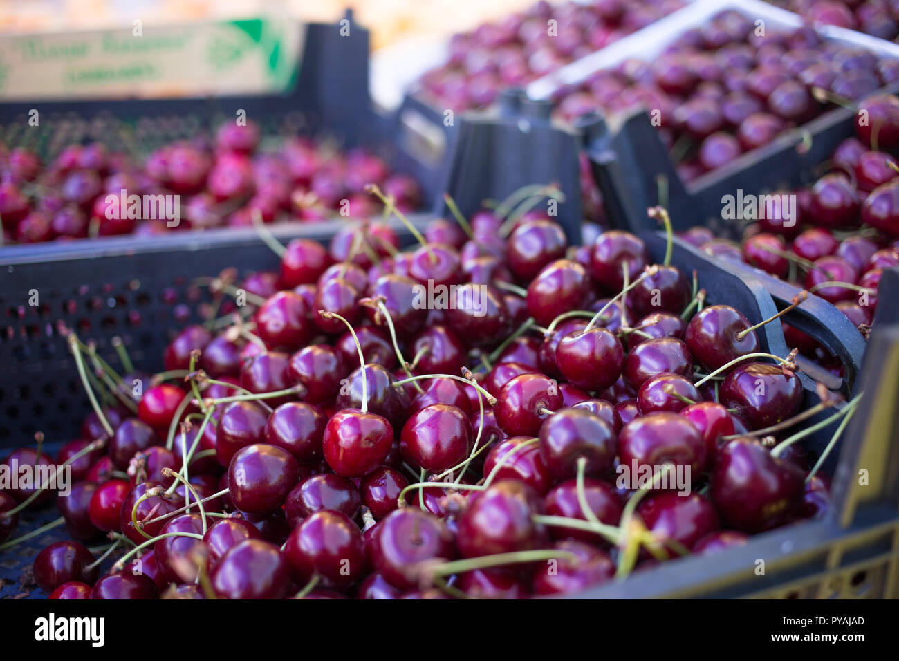 boxes with fresh red cherries, counter of the seller of fruit and ...