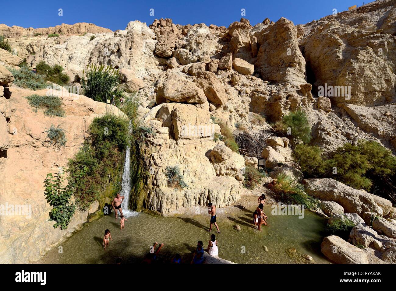Tourists near a waterfall at the Wadi David in En Gedi (Israel), 28 ...