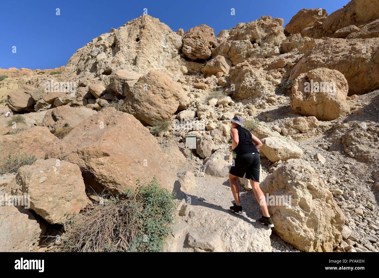 A tourist on a hiking trail at the Wadi David in En Gedi (Israel), 28 ...