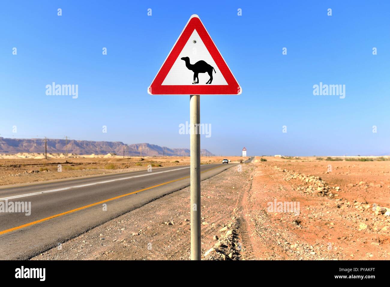 A traffic sign with a camel on it at the Negev desert near En Gedi ...